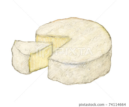 Camembert cheese hand-painted watercolor pencil... - Stock Illustration ...