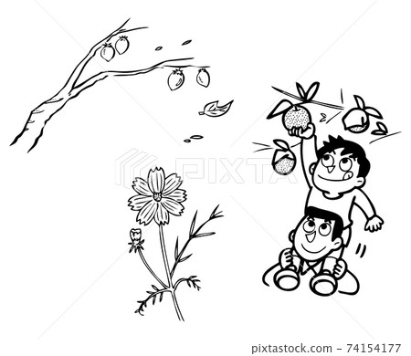 Autumn Irashito 01 - Stock Illustration [74154177] - PIXTA