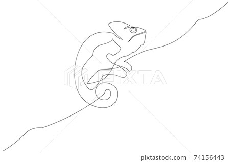 One line drawing of chameleon. Continuous line... - Stock Illustration ...