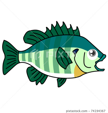 Illustration of a cute bluegill facing sideways - Stock Illustration ...