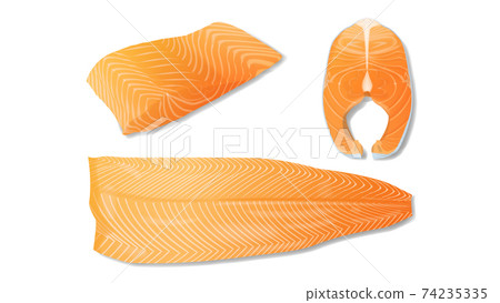 Set of realistic salmon fillet slices vector... - Stock Illustration ...