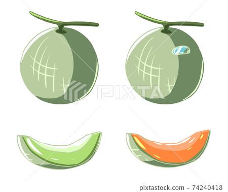 No melon line - Stock Illustration [74240418] - PIXTA