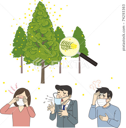 Illustration of cedar tree and pollen pollinosis - Stock Illustration ...
