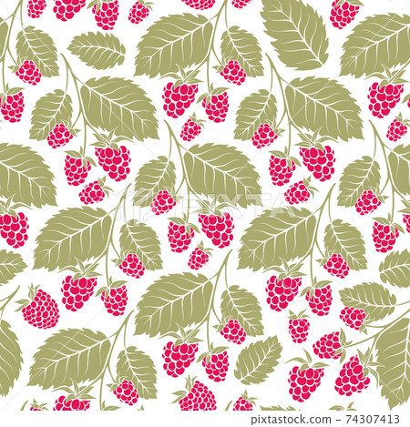 Raspberry seamless vector pattern. - Stock Illustration [74307413] - PIXTA