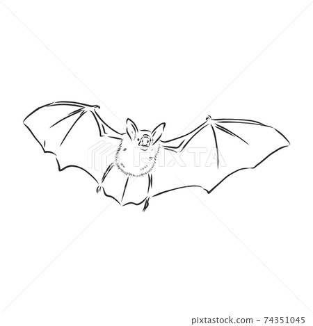 black and white flying Halloween vampire bat,... - Stock Illustration ...