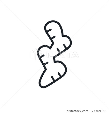 Ginger icon. Vector linear icon, contour,... - Stock Illustration ...