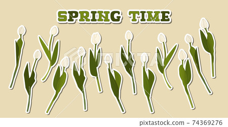 Vector green Spring Time lettering text. Set of... - Stock Illustration ...