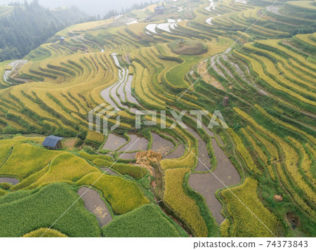 Beautiful terrace rice field with small houses... - Stock Photo ...