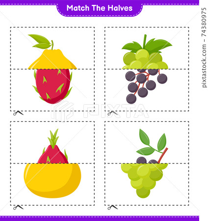 Match the halves. Match halves of Fruits.... - Stock Illustration ...
