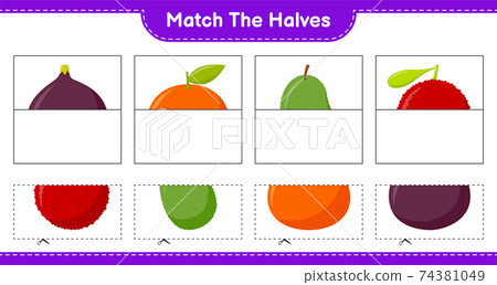 Match the halves. Match halves of Fruits.... - Stock Illustration ...