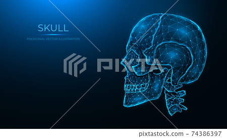 Skull Profile View Vector