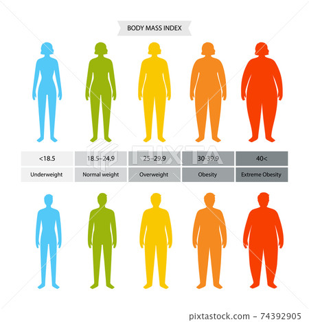 Body mass index - Stock Illustration [74392905] - PIXTA