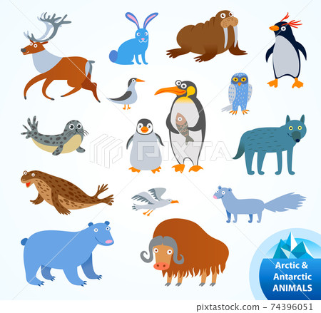 Antarctic Animals Clipart