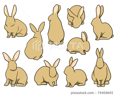 Sitting rabbit orange set - Stock Illustration [74409685] - PIXTA