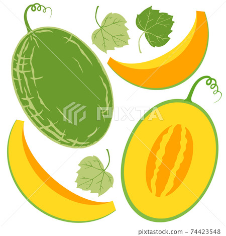 Juicy yellow melon element set - Stock Illustration [74423548] - PIXTA