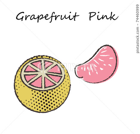 Illustration of fruit Pink grapefruit - Stock Illustration [74460999 ...