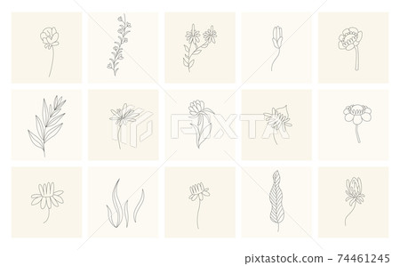 Floral elements. Collection of hand drawn... - Stock Illustration ...