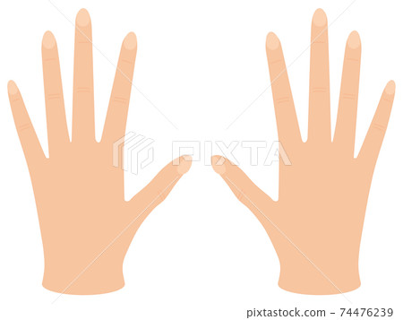 Hand of the hand - Stock Illustration [74476239] - PIXTA