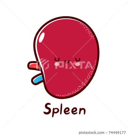 Cute happy funny human spleen organ character.... - Stock Illustration ...