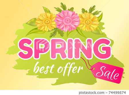 Best Offer Spring Sale Advertisement Daisy Flowers - Stock Illustration ...