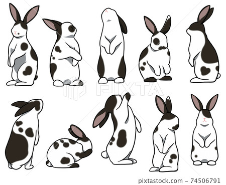 Standing Rabbit Broken Set - Stock Illustration [74506791] - PIXTA