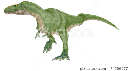 Dinosaur Alioramus A member of the... - Stock Illustration [74506977 ...