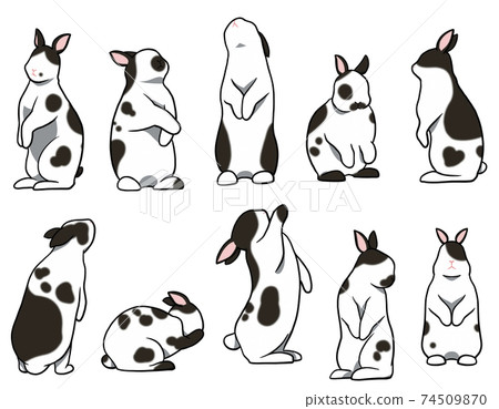 Standing Rabbit Short Ear Broken Set - Stock Illustration [74509870 ...