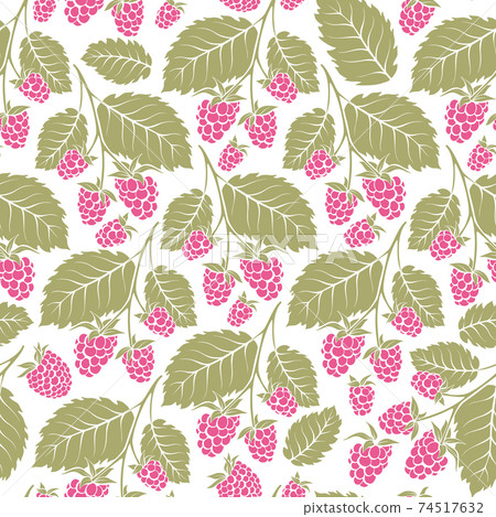 Raspberry seamless vector pattern. - Stock Illustration [74517632] - PIXTA