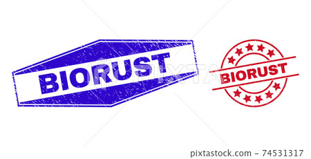 BIORUST Grunge Badges in Round and Hexagonal... - Stock Illustration ...
