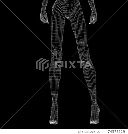 Wireframe black background female legs... - Stock Illustration ...