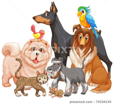 Group of pet on white background - Stock Illustration [74584244] - PIXTA
