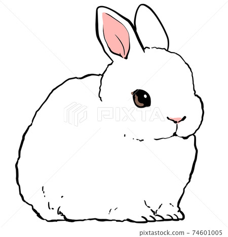 Realistic white rabbit illustration - Stock Illustration [74601005] - PIXTA