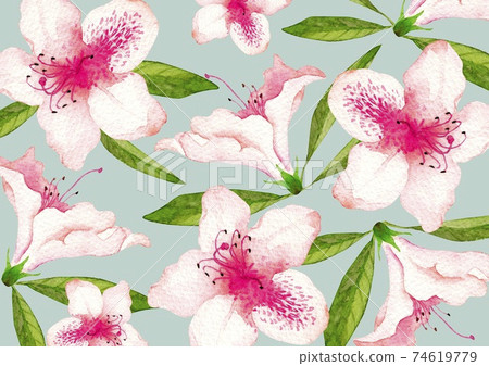 Azalea spring background pattern textile... - Stock Illustration ...