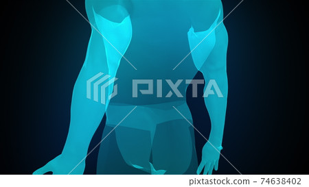 Model of the human body from head to toe,... - Stock Illustration ...