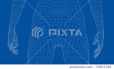 Wireframe female body. Vector - Stock Illustration [74655190] - PIXTA