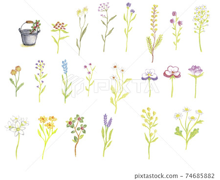 Colorful cut flower set - Stock Illustration [74685882] - PIXTA