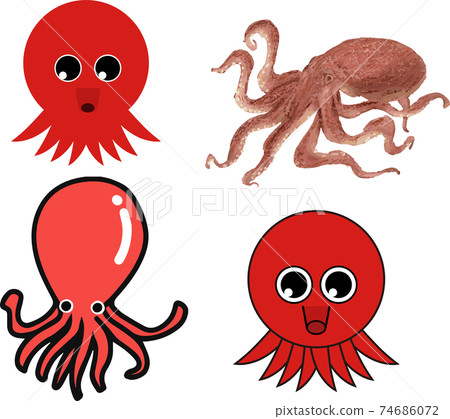 Cute and realistic octopus set - Stock Illustration [74686072] - PIXTA