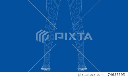 Wireframe legs. Close-up view - Stock Illustration [74687595] - PIXTA