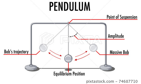 Pendulum's movement infographic for physics... - Stock Illustration ...