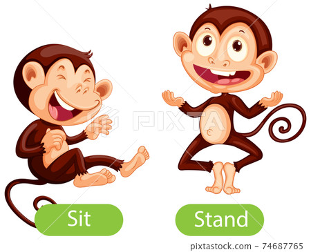 Opposite words with sit and stand - Stock Illustration [74687765] - PIXTA