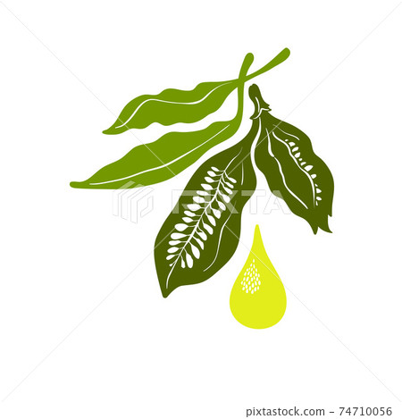 Sesame oil. Vector symbol. Healthy seed, organic - Stock Illustration ...