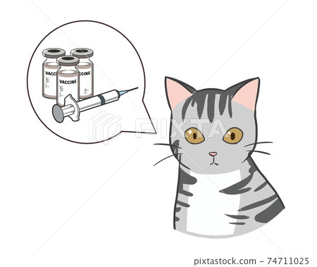 Vaccination syringe and bottle cat - Stock Illustration [74711025] - PIXTA