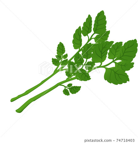 Seri - Stock Illustration [74718403] - PIXTA