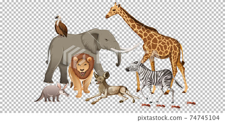 Group of wild african animal on transparent... - Stock Illustration ...