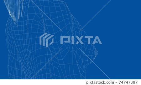 Wireframe female breast. Close-up view - Stock Illustration [74747397 ...