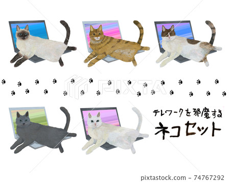 Cat set that interferes with telework - Stock Illustration [74767292 ...