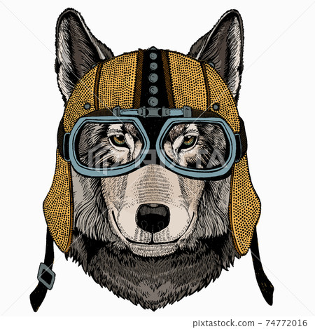 Vector portrait of wolf. Cool wild wolf. Animal... - Stock Illustration ...