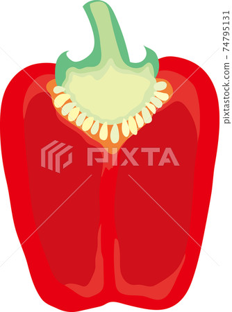 Red paprika cross section - Stock Illustration [74795131] - PIXTA