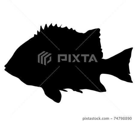 Cute silhouette of striped beakfish - Stock Illustration [74798890] - PIXTA