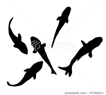 Fish shadow silhouette - Stock Illustration [74798915] - PIXTA